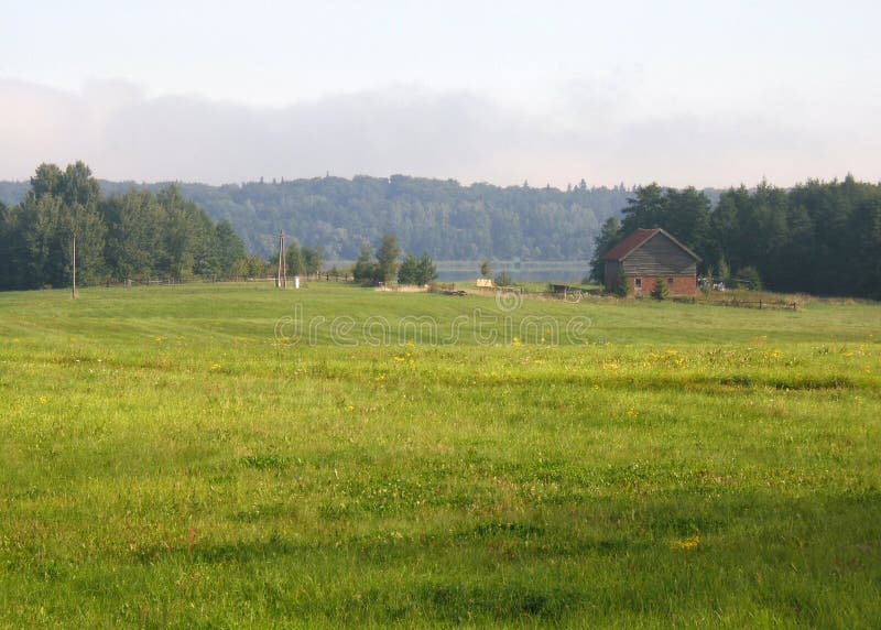 Farm landscape stock image. Image of agriculture, yellow - 1142547