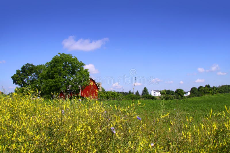 Farm landscape stock photo. Image of farmland, rustic - 27759912