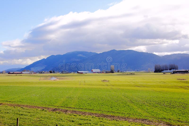 Farm Landscape stock image. Image of grassland, open - 38090521