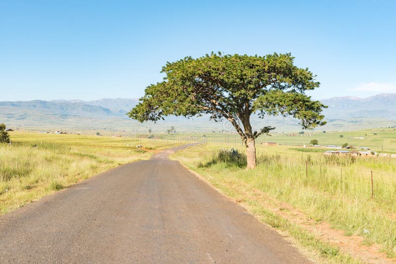 Landscape on Road S99. a Baobab Tree is Visible Stock Image - Image of ... Landscape on Road S99. a Baobab Tree is Visible Stock Image - Image of ...