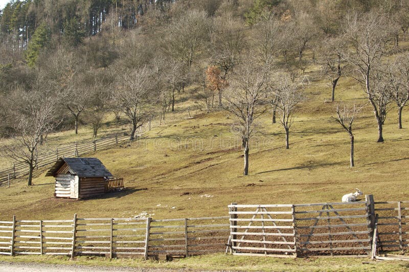 Farm landscape stock image. Image of brown, sunny, farmland - 30261517