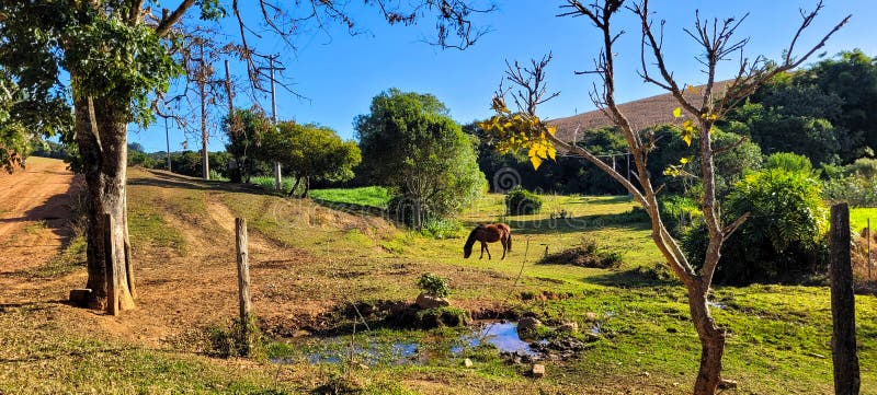 Farm Landscape View in the Countryside of Brazil Stock Photo - Image of ...