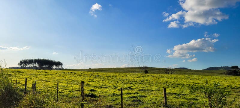 Farm Landscape View in the Countryside of Brazil Stock Image - Image of ...