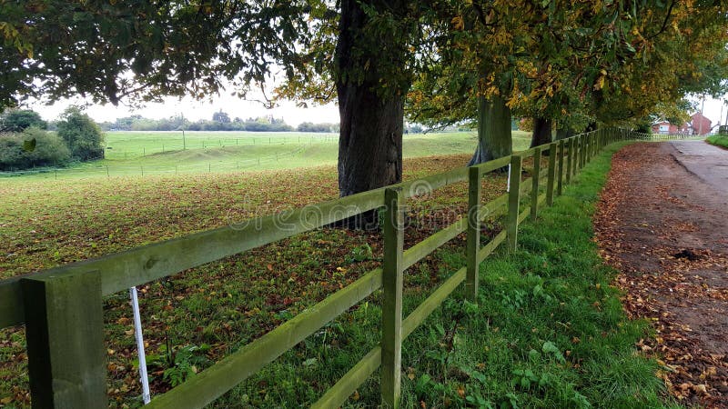 Farm at the End of the Lane Stock Image - Image of horses, farm: 751339