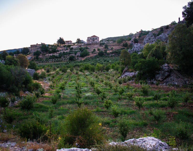 Farm in Lebanese Countryside Stock Photo - Image of farm, tree: 192516750
