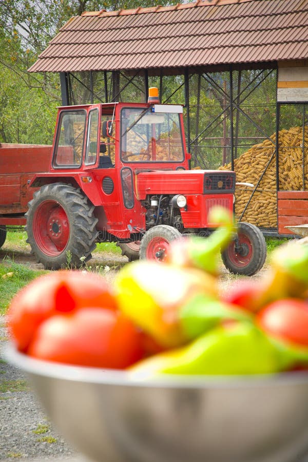 Farm life stock image. Image of vegetable, farm, organic - 3501111