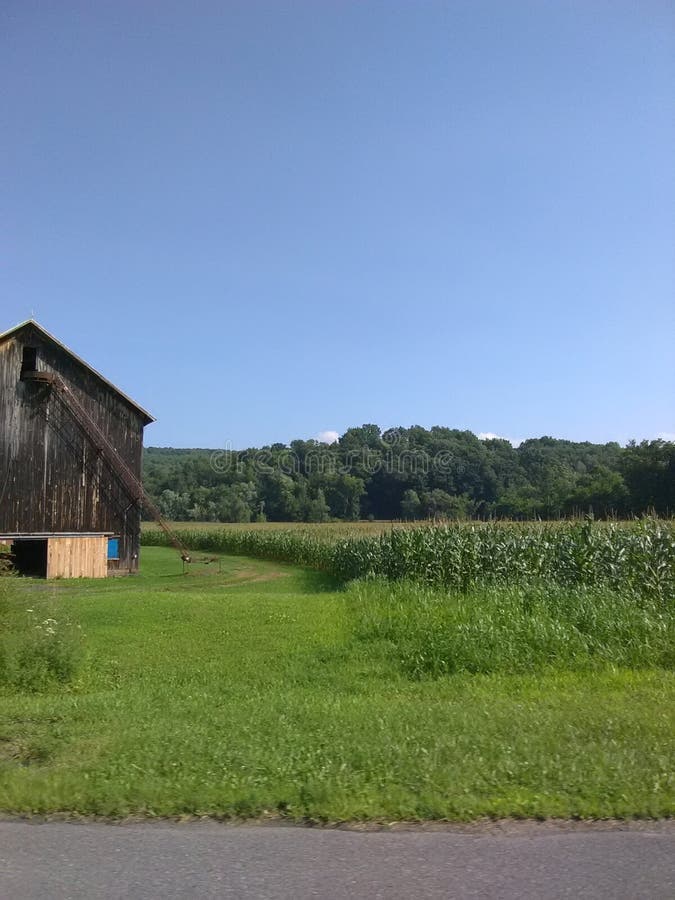 Farm life stock image. Image of landscape, beautiful - 123419407