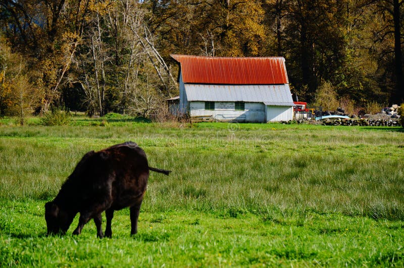 Farm life stock image. Image of field, orange, tractor - 46698153