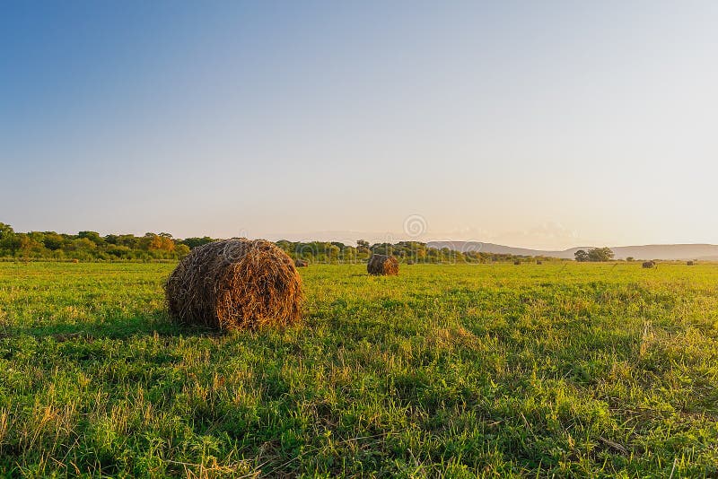 Haystack in a Field during Sunset Stock Photo - Image of yellow ...