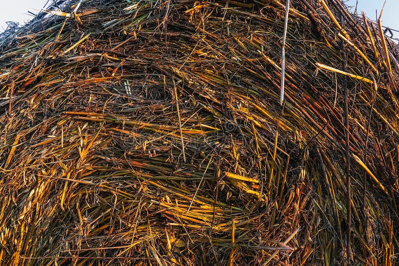 Haystack in a Field during Sunset Stock Image - Image of large, green ...