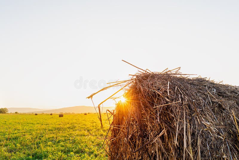 Haystack in a Field during Sunset Stock Photo - Image of plant ...