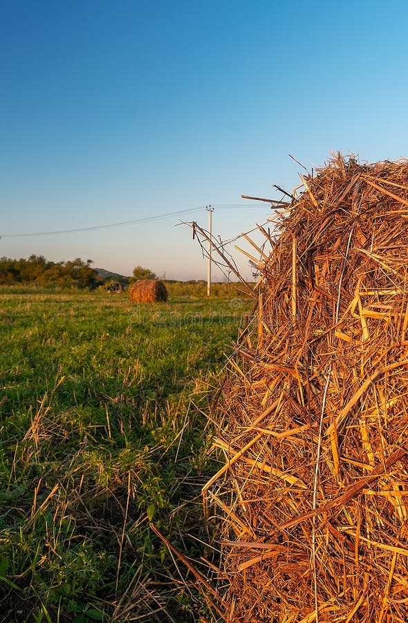 Haystack in a Field during Sunset Stock Photo - Image of natural ...