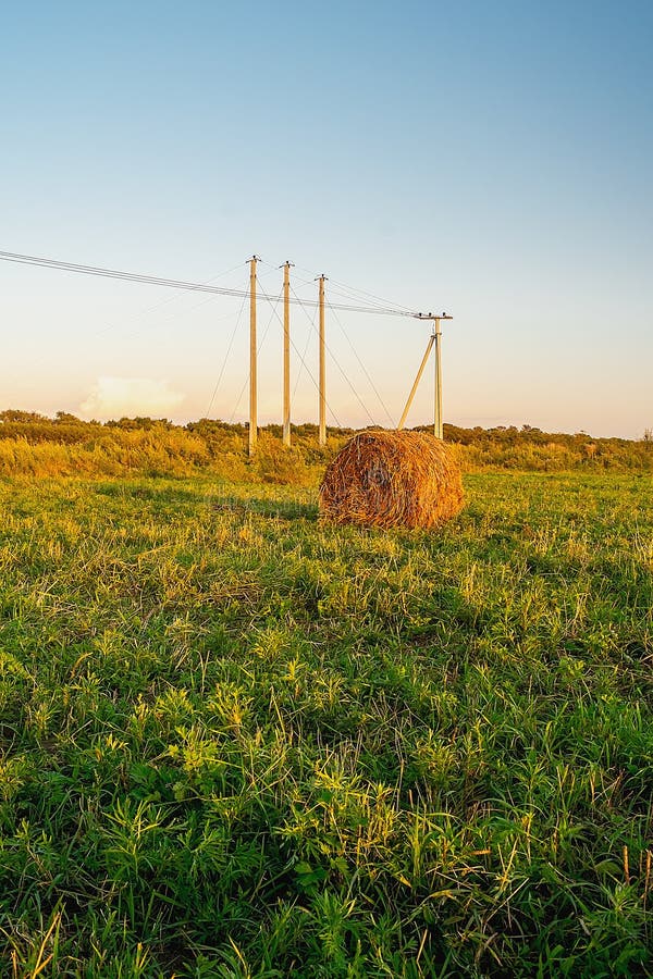 Haystack in a Field during Sunset Stock Image - Image of sunset, grass ...