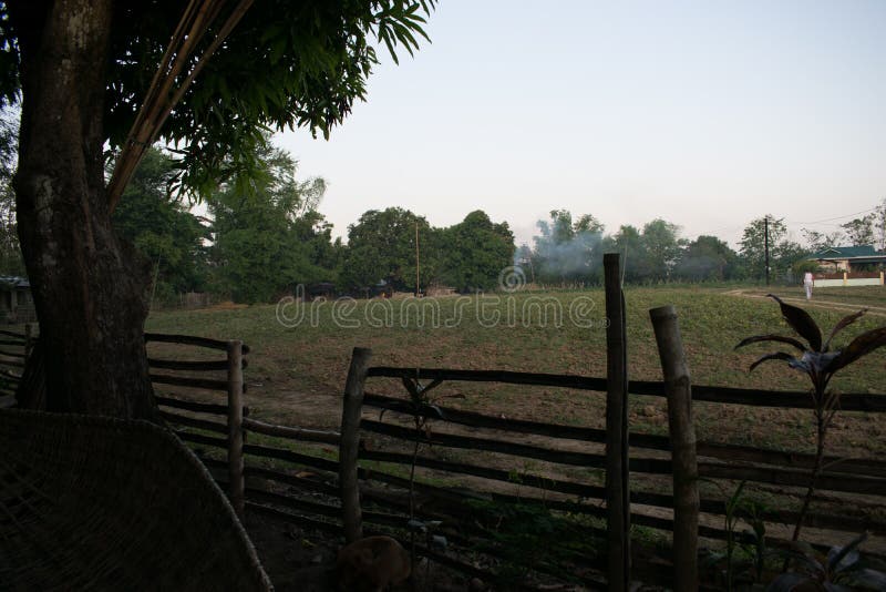 Farm stock image. Image of tree, clouds, flowers, farm - 93003865