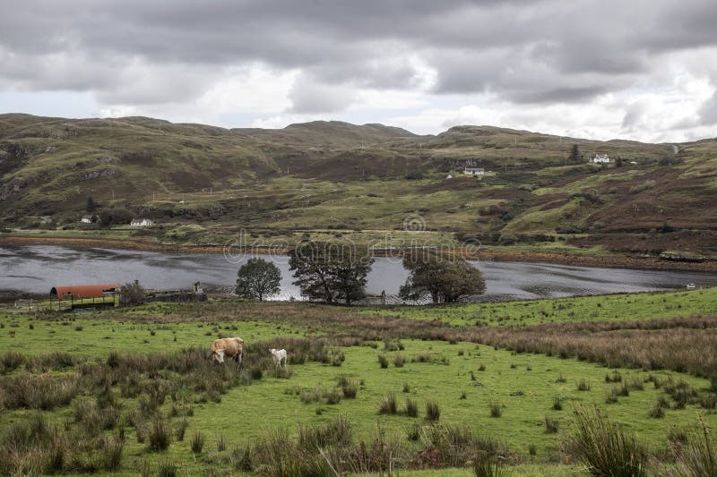 Farm by Loch at Struan on Isle of Skye Stock Photo - Image of scottish ...