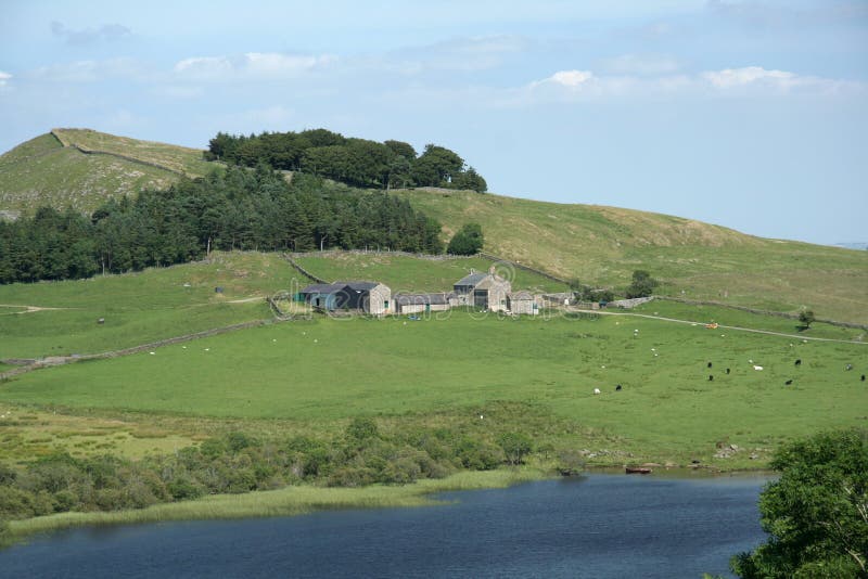 Farm and Lough stock image. Image of sheds, fields, swim - 971385