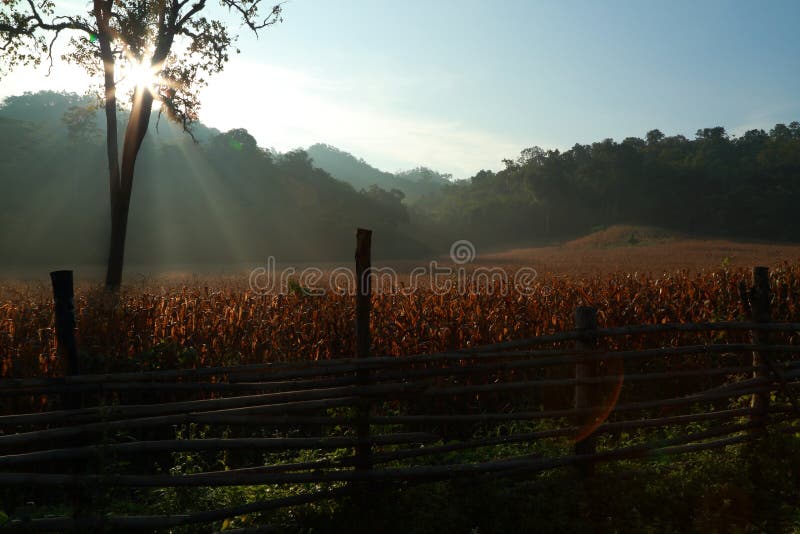 Farm morning stock image. Image of fence, countryside - 34739201