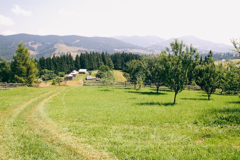 Farm in the Mountains. the Path Leading To the House Stock Image ...