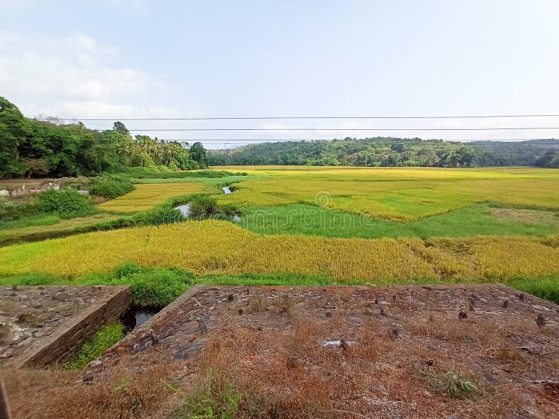 Farm Nature Grass Land Beauty Stock Photo - Image of farm, land: 182531942