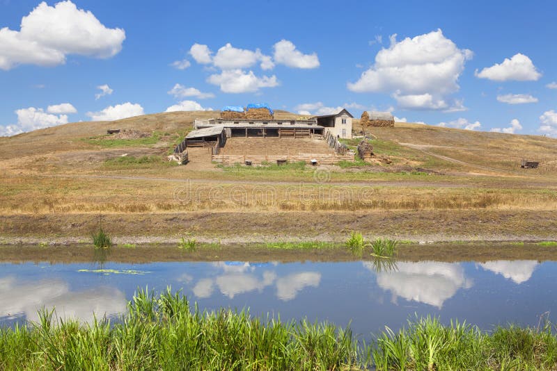 Farm near river stock photo. Image of animals, hill, grass - 97125542