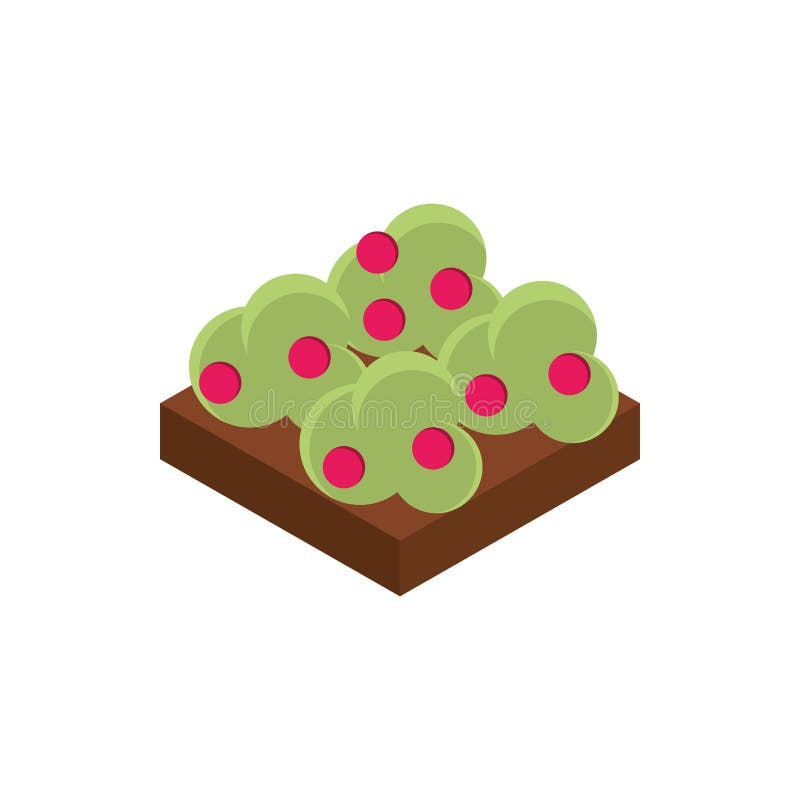 Farm Olive Harvest Agriculture Isometric Icon Stock Vector ...