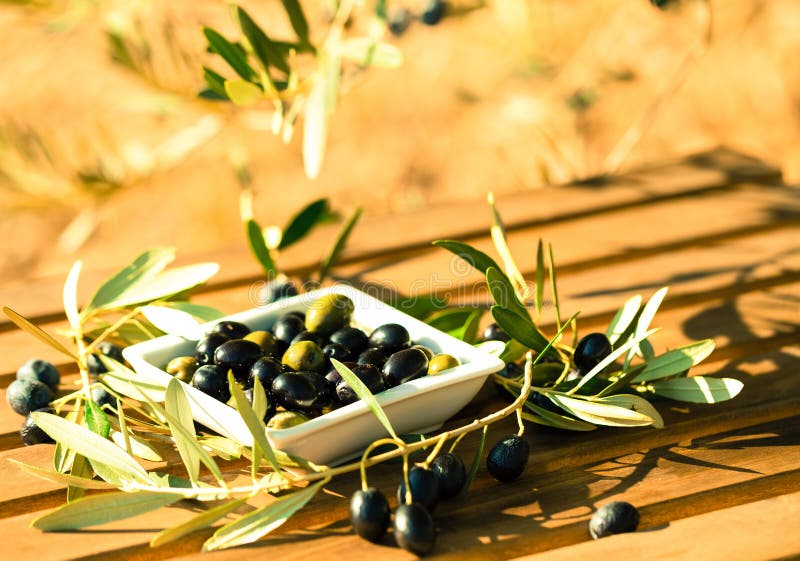 Farm Olives on Table in Olive Garden Stock Image - Image of life ...