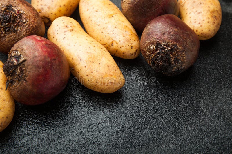 Farm Organic Potatoes and Red Beets, Empty Space for Text Stock Image ...