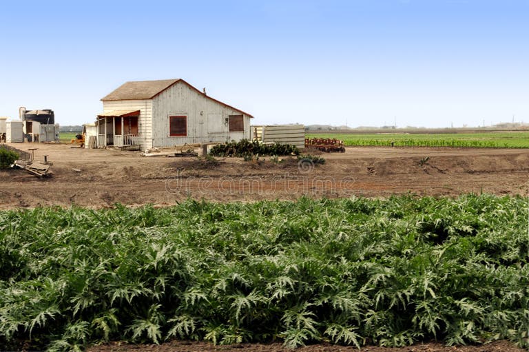 105,142 Between Out Of Building Stock Photos - Free & Royalty-Free ...