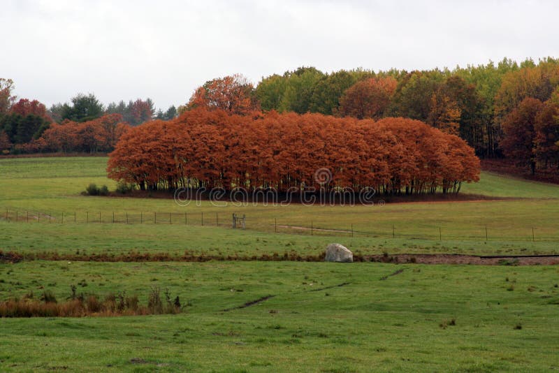 Farm pasture stock image. Image of colors, pasture, autumn - 6796395