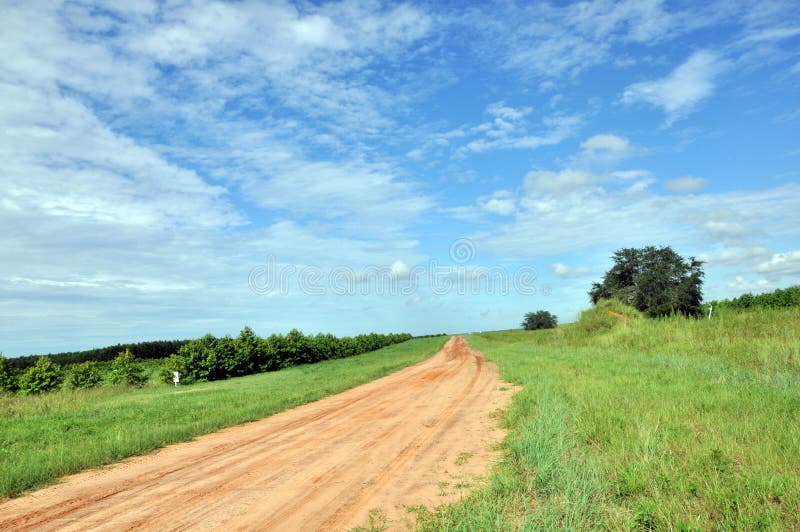 Farm path stock image. Image of clouds, dirt, blue, plants - 51905831
