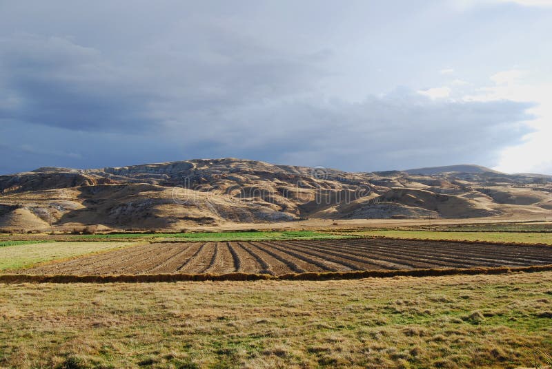 Farm in Peru stock image. Image of america, field, grass - 6637047