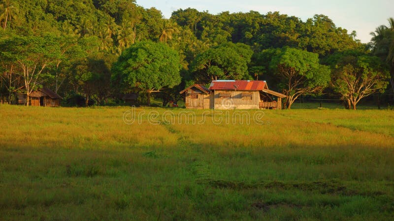 890 Philippine Countryside Stock Photos - Free & Royalty-Free Stock ...