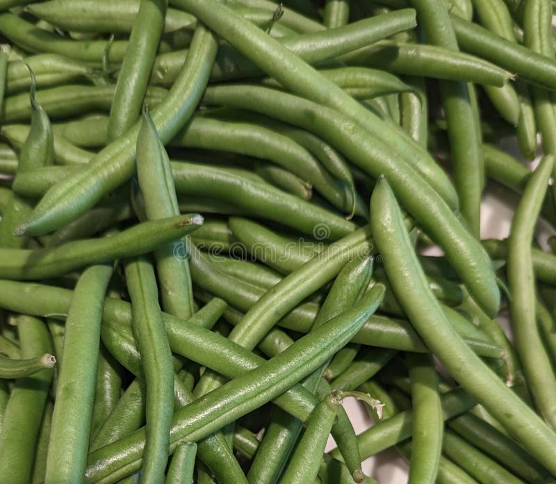 Farm picked green beans stock image. Image of food, picked - 273378977