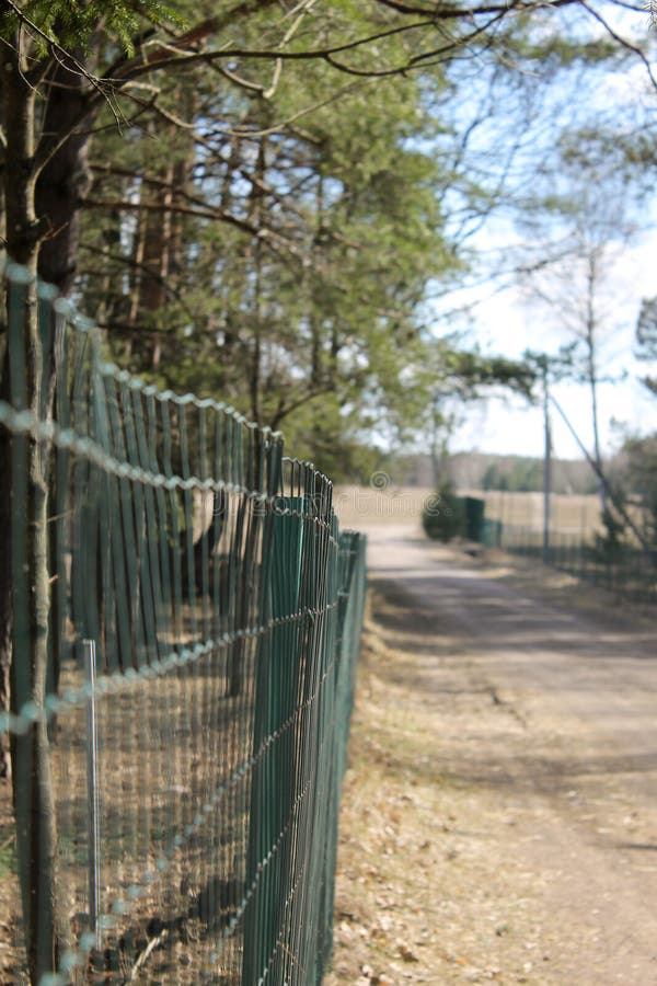 Farm stock image. Image of morning, spring, country, countryside - 69373067