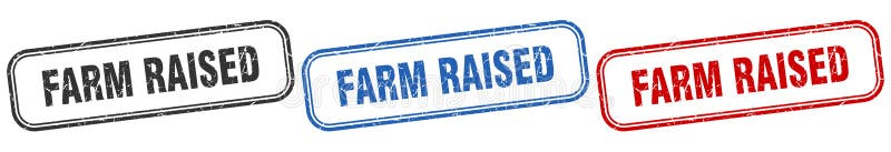 Farm Raised Square Isolated Sign Set. Farm Raised Stamp Stock Vector ...