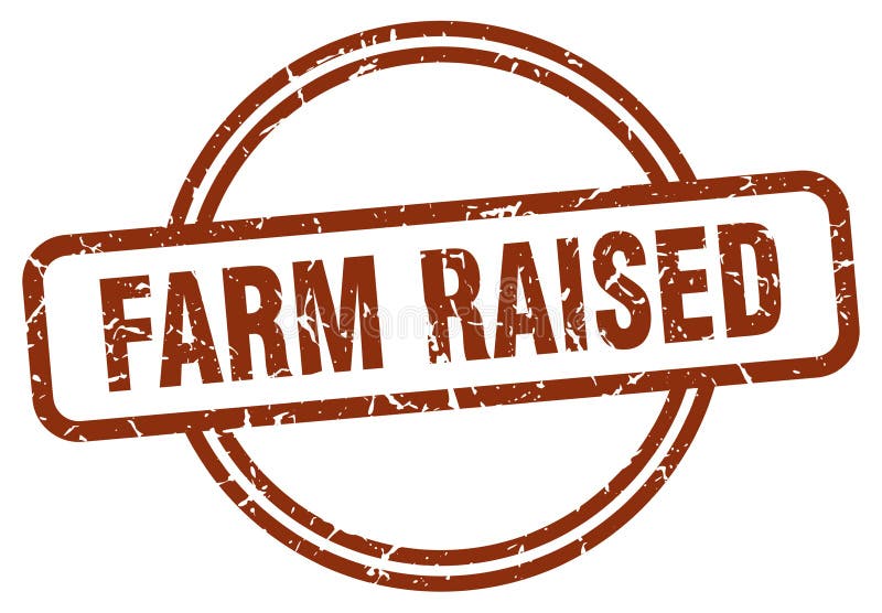 Farm Raised Stamp. Farm Raised Round Vintage Grunge Label Stock Vector ...
