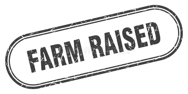 Raised Stamp Stock Illustrations – 1,536 Raised Stamp Stock ...