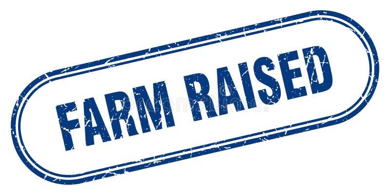 Raised Stamp Stock Illustrations – 1,552 Raised Stamp Stock ...