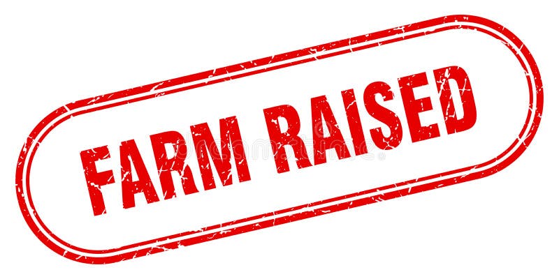 Raised Stamp Stock Illustrations – 1,552 Raised Stamp Stock ...