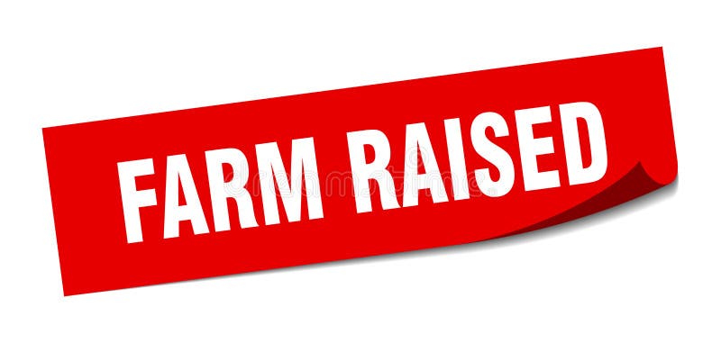 Farm Raised Sticker. Square Isolated Label Sign. Peeler Stock Vector ...