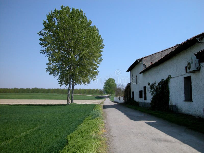Farm and road stock photo. Image of farm, distance, background - 12824352