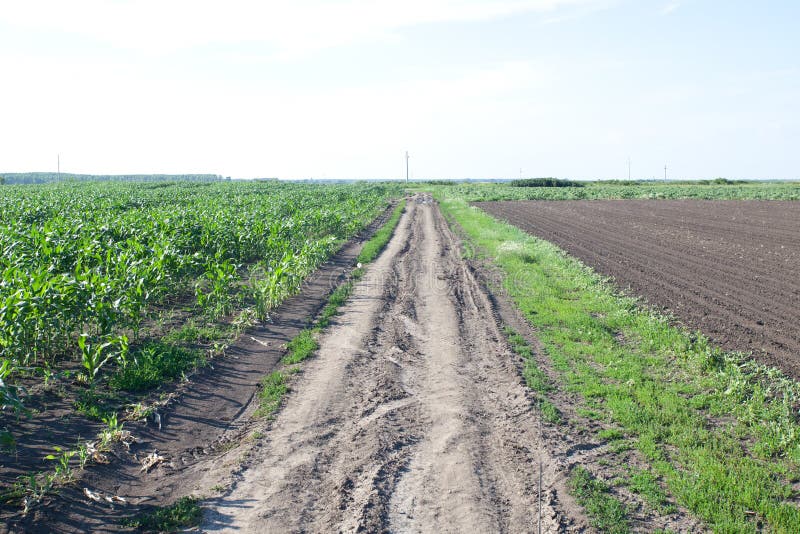 Empty farm field stock image. Image of sunny, cloud, field - 32104561