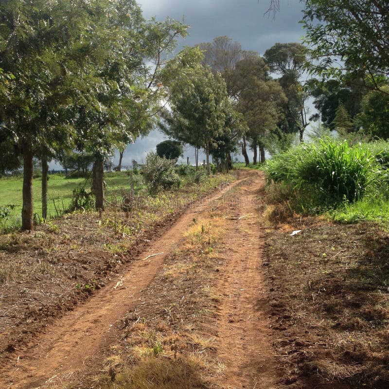 Farm road stock image. Image of eldoret, east, kenyan - 55708265