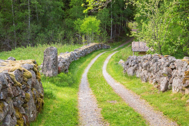 Farm road stock image. Image of leaf, driveway, bright - 12612819