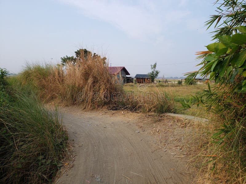 Farm Road Philippines stock image. Image of road, philippines - 113337741