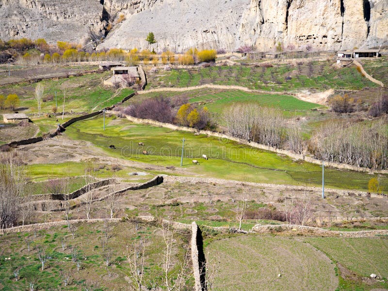 Rural Region of the Brazilian Northeastern Interior. the Semi-arid ...