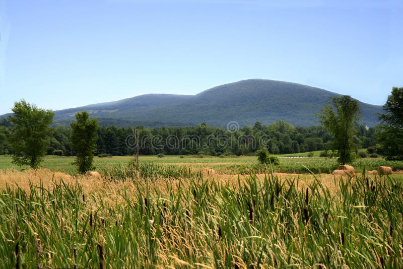 Farm Scene stock image. Image of field, machine, feed - 1059659