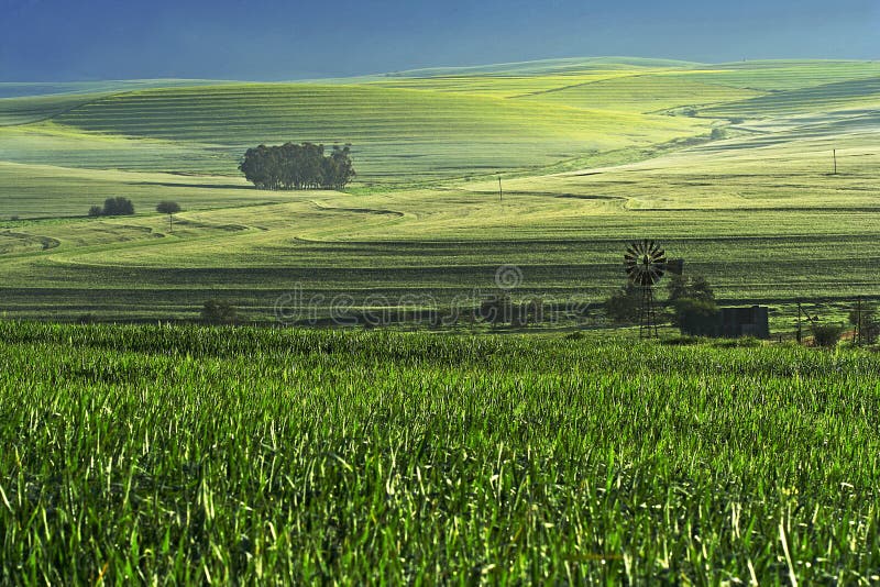 Farm scene stock photo. Image of contours, seasonal, colour - 3793482
