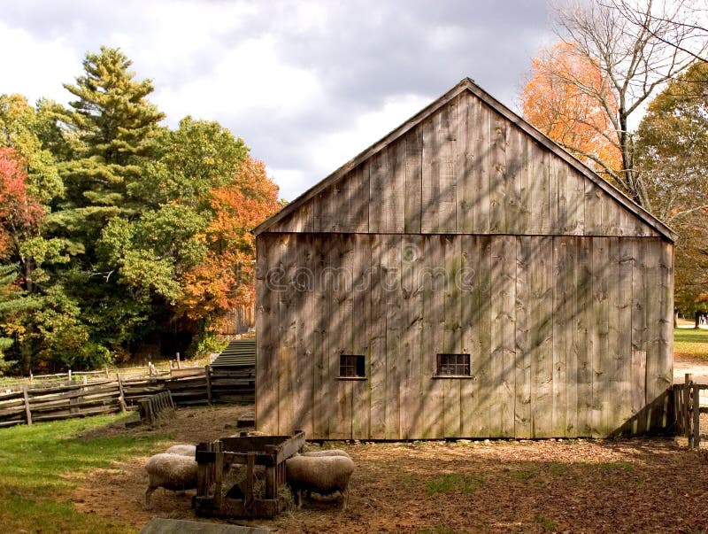 Farm Scene stock image. Image of fall, feeding, barn, animals - 7963405