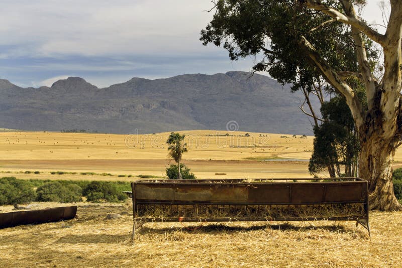Farm scene on a wheat farm stock photo. Image of rustic - 12555788